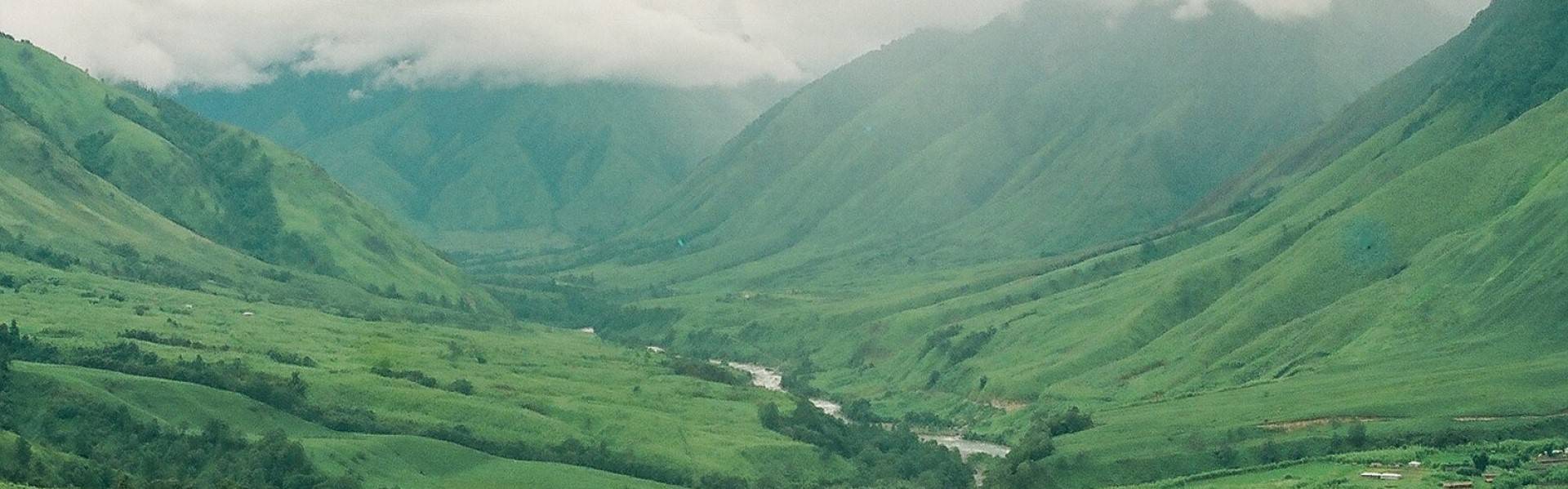 Writing for Forests in the Dibang Valley