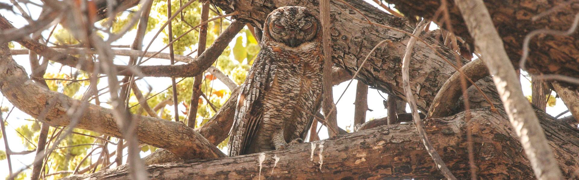 Inbox - January 2024